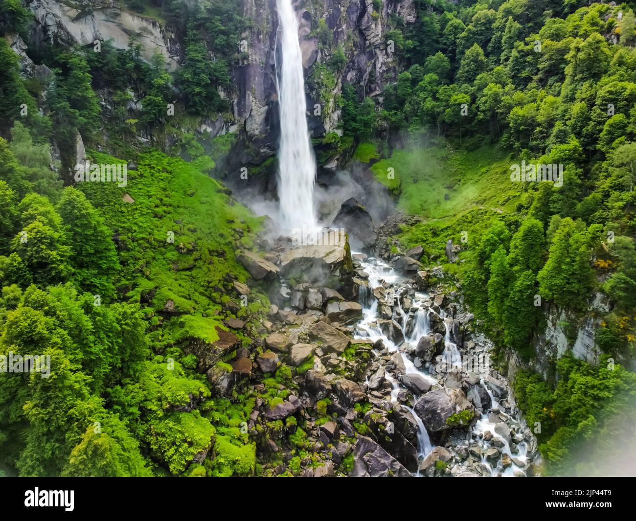 A mesmerizing view of raging waterfalls surrounded by trees Stock Photo ...