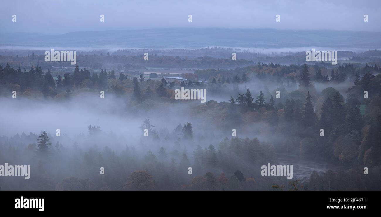 A dense inversion layer of mist flowing around trees in Strathtay near ...