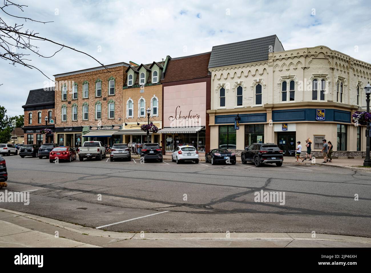 Pug on a pose Stock Photo - Alamy