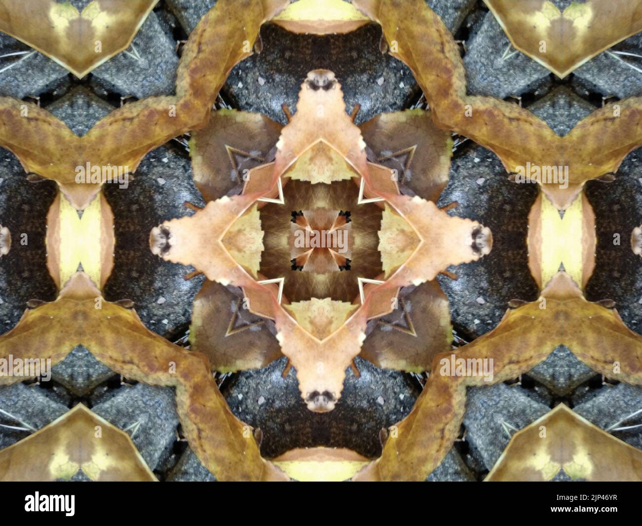 A beautiful symmetrical pattern formed by overlapping and intersecting ...