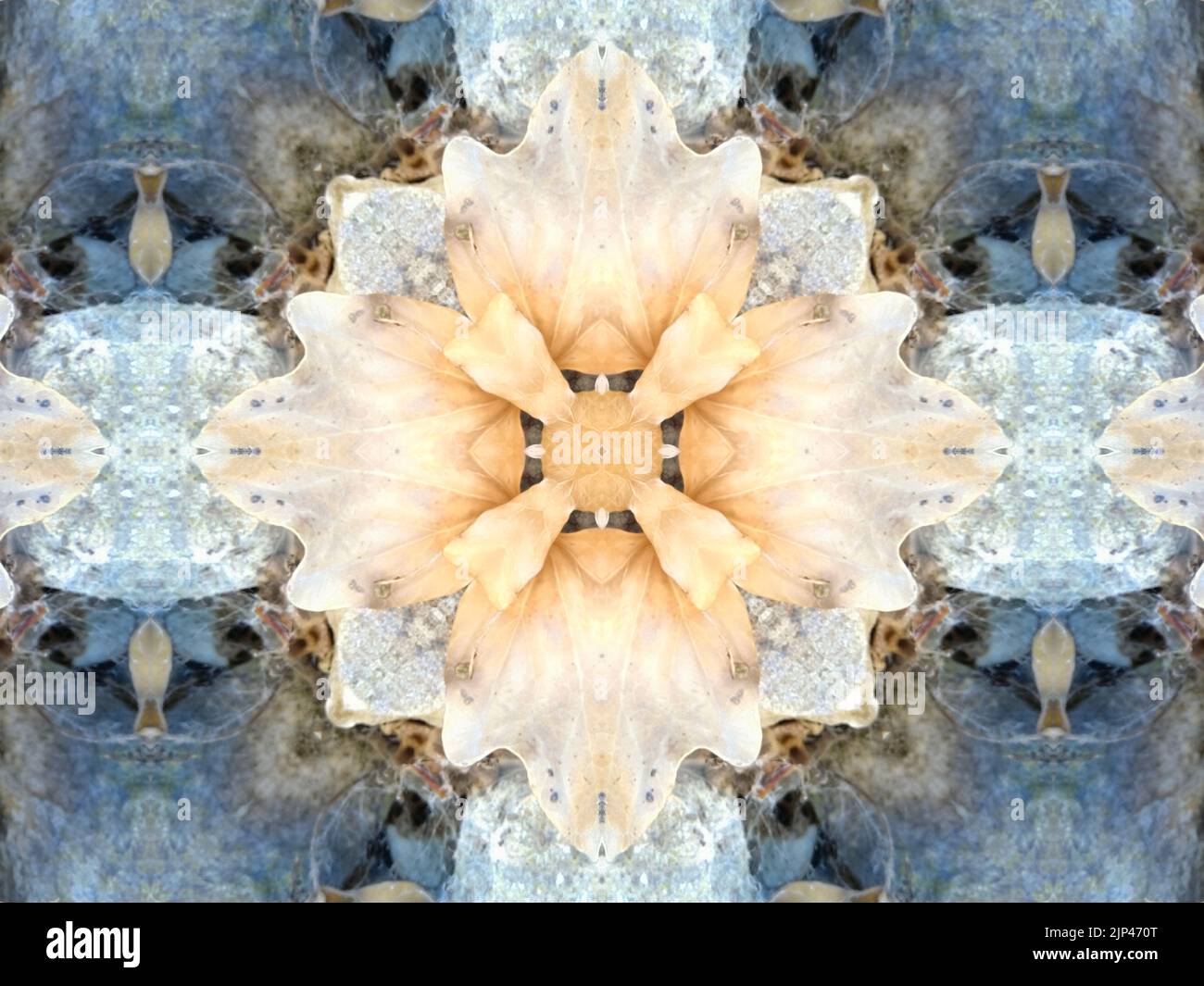 A beautiful symmetrical pattern formed by overlapping and intersecting ...