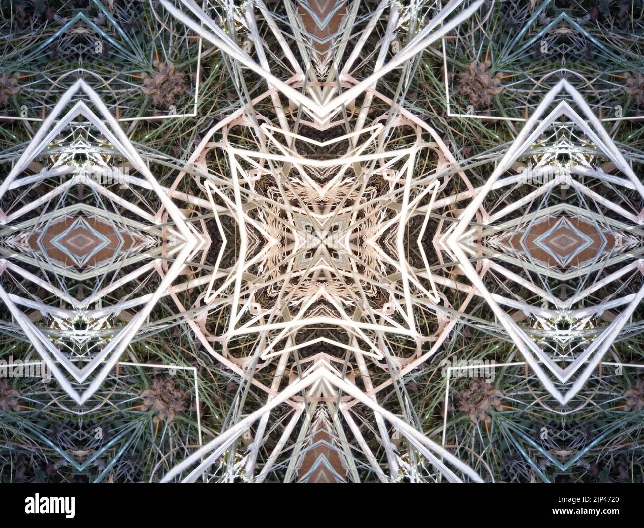 A beautiful symmetrical pattern formed by overlapping and intersecting ...