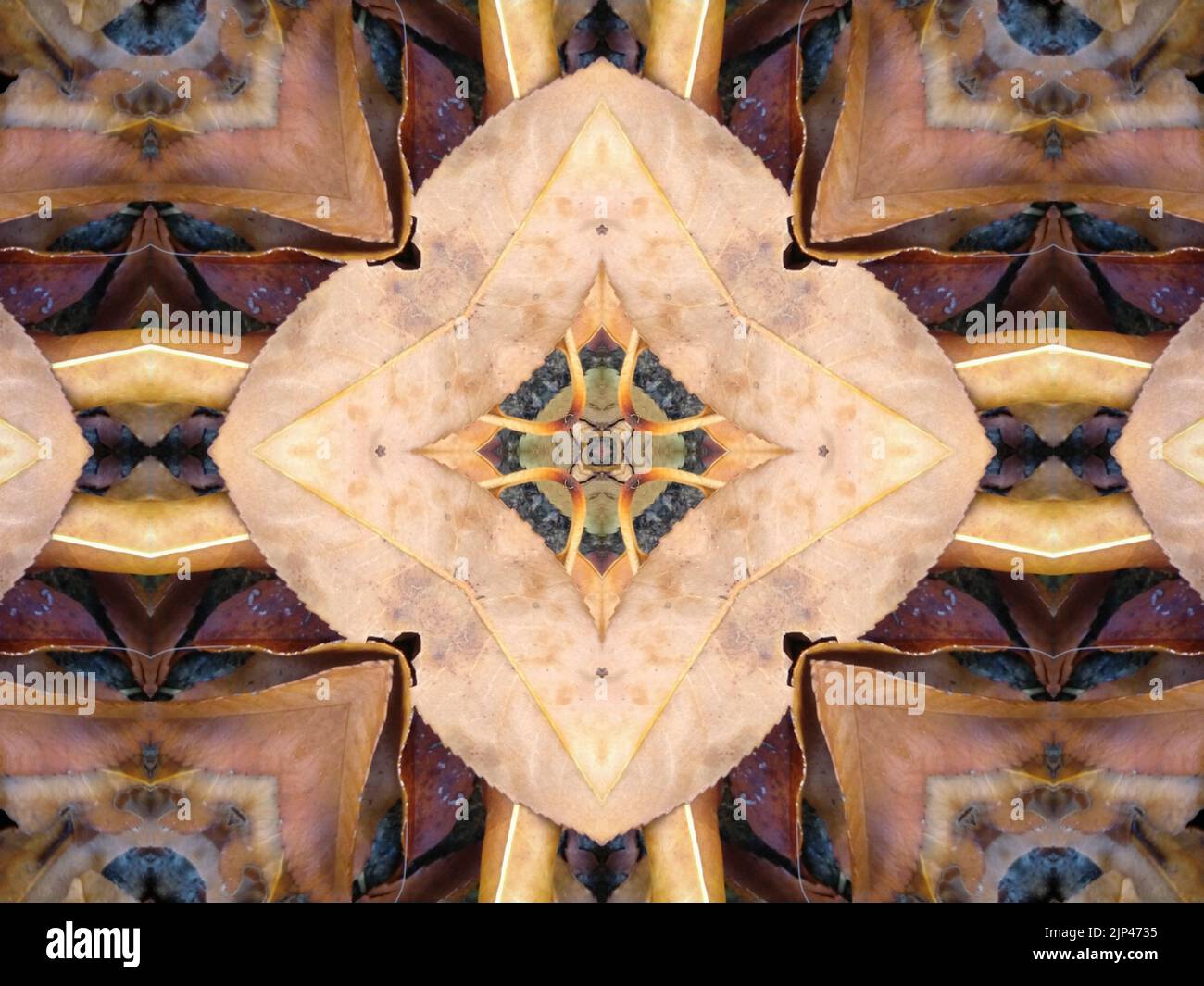 A beautiful symmetrical pattern of overlapping and intersecting dry ...