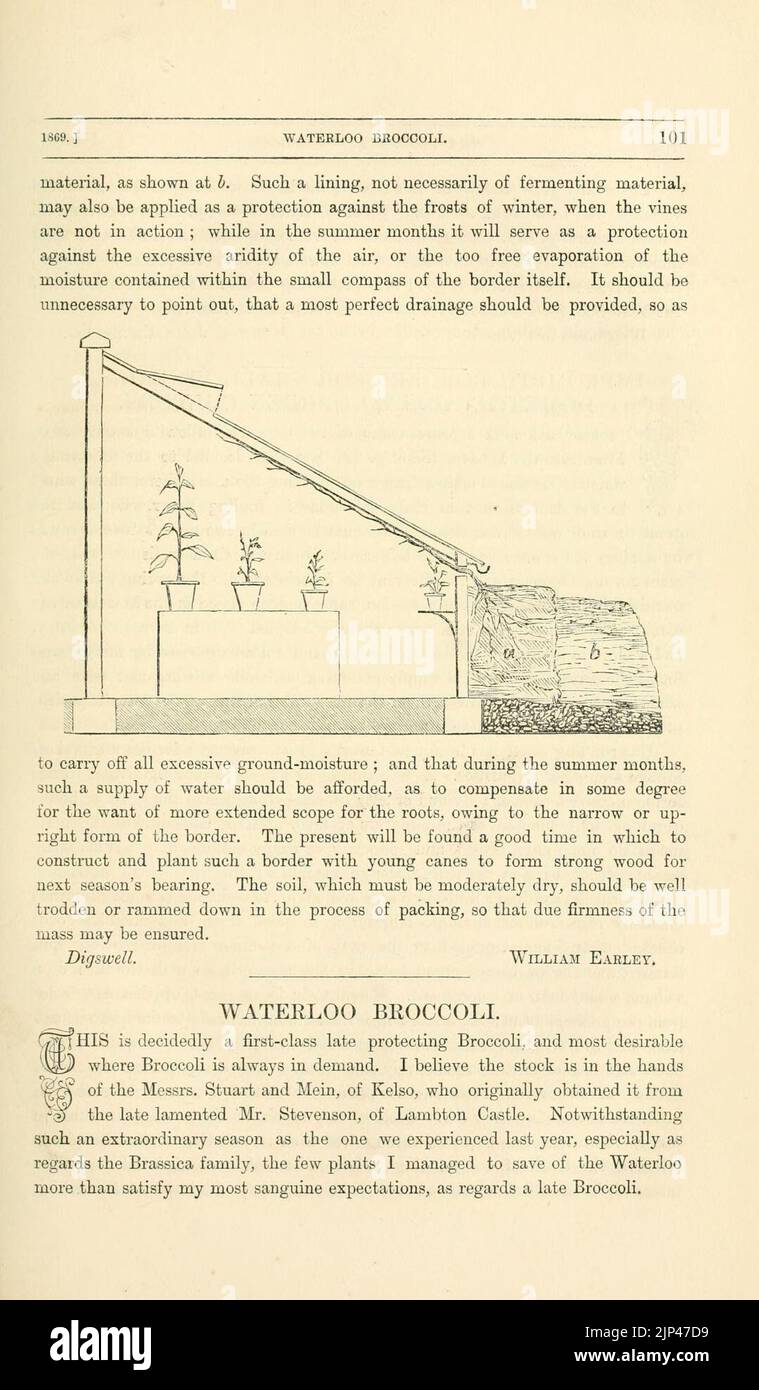 The florist and pomologist Stock Photo - Alamy