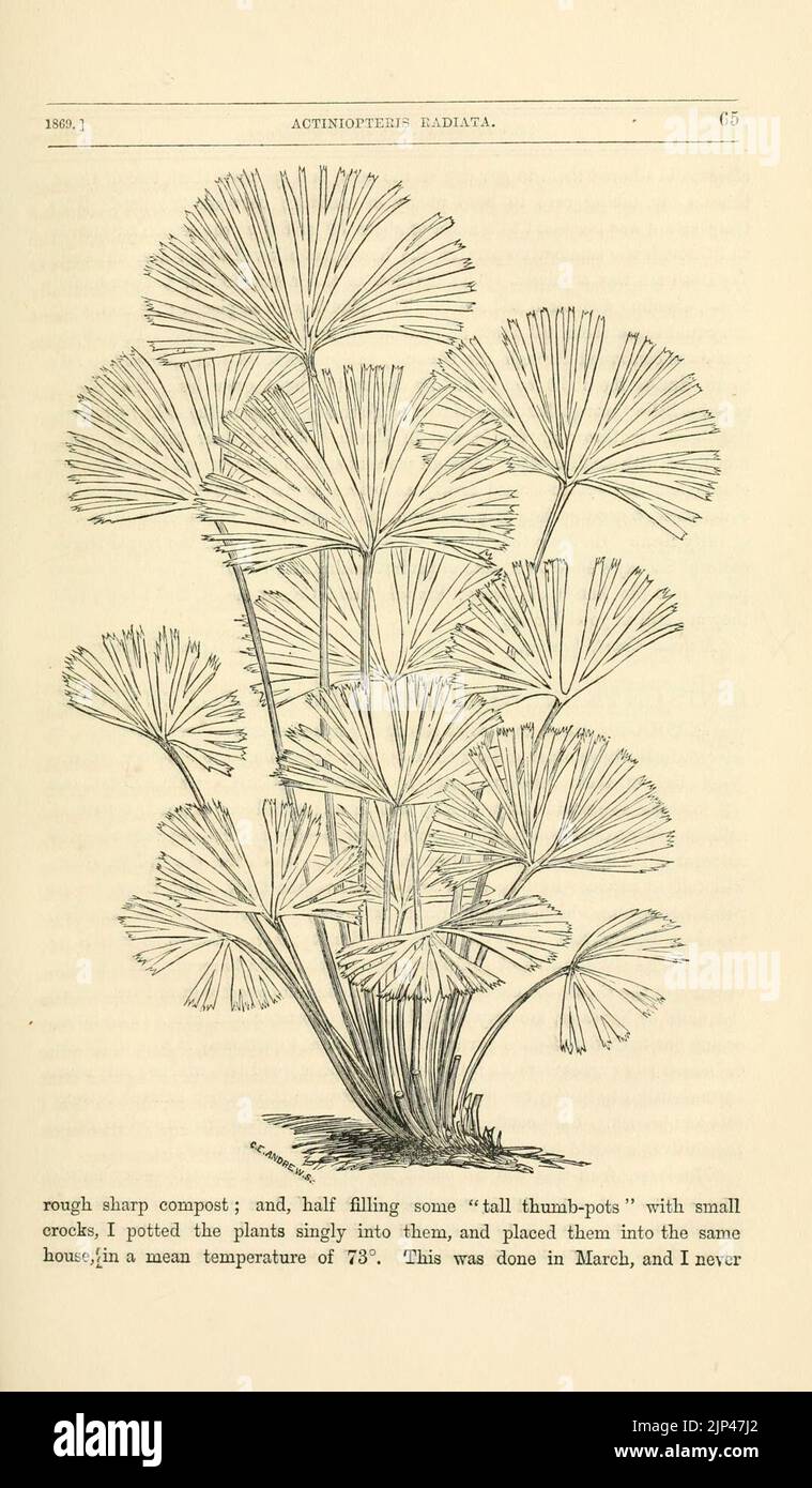 The florist and pomologist Stock Photo - Alamy