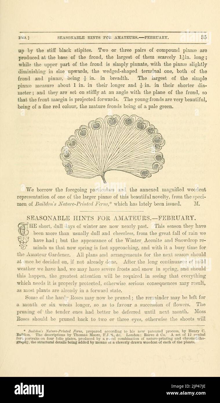 The florist and pomologist Stock Photo - Alamy