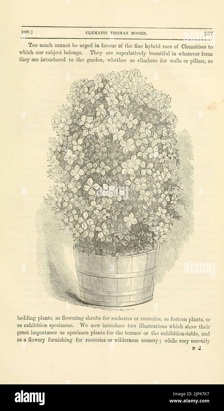 The florist and pomologist Stock Photo - Alamy