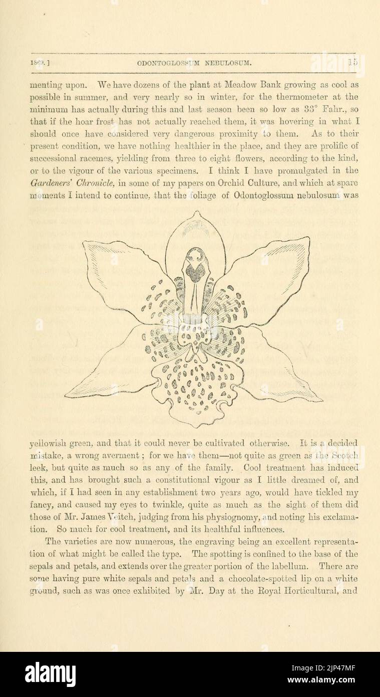 The florist and pomologist Stock Photo - Alamy