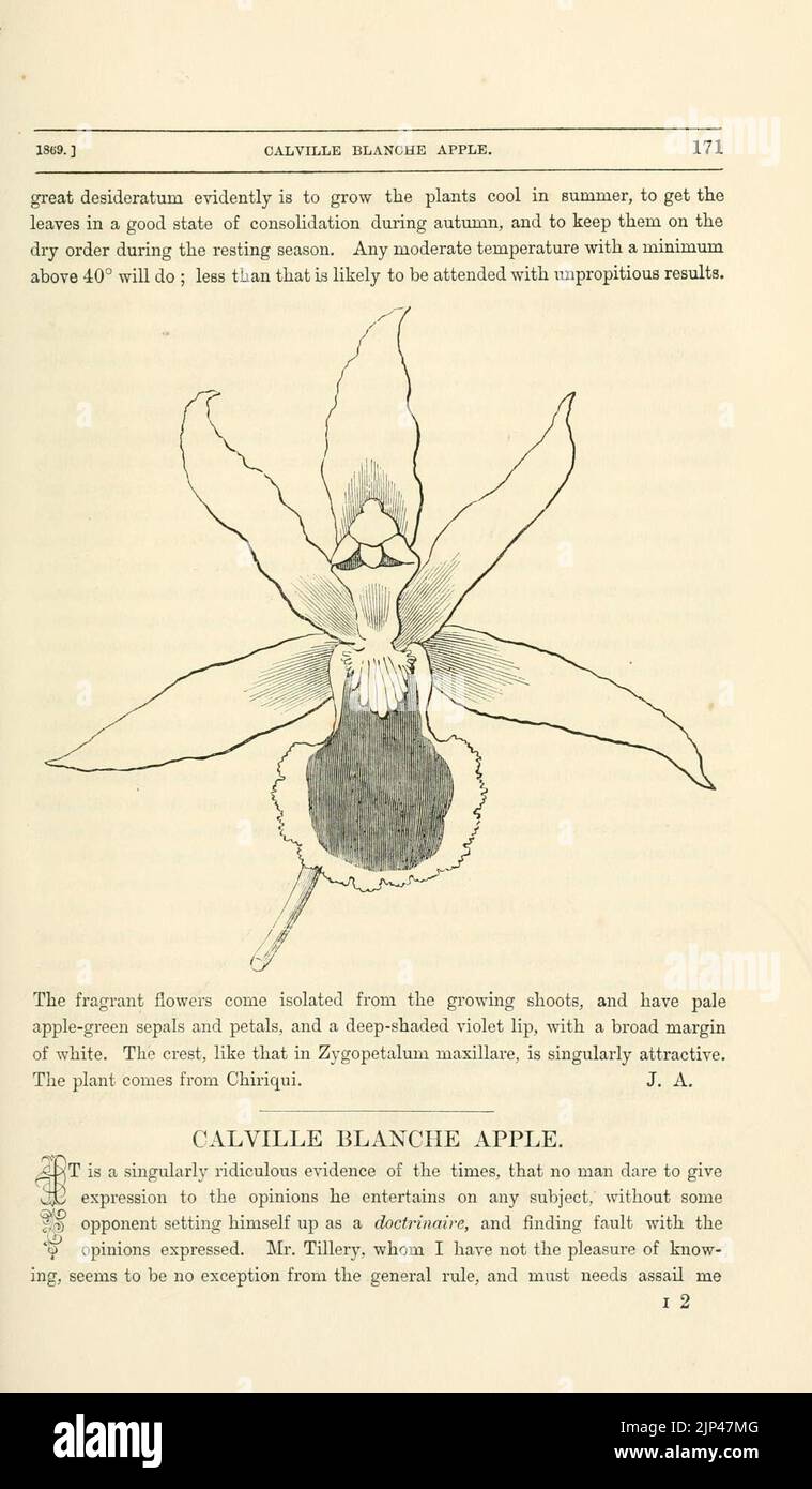 The florist and pomologist Stock Photo - Alamy