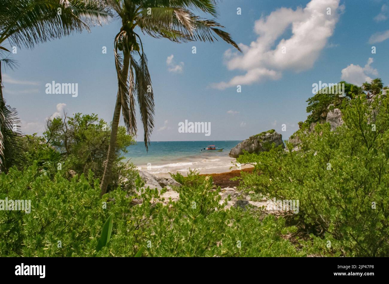 Excessive amounts of sargassum seaweed line the coast underneath Tulum ...
