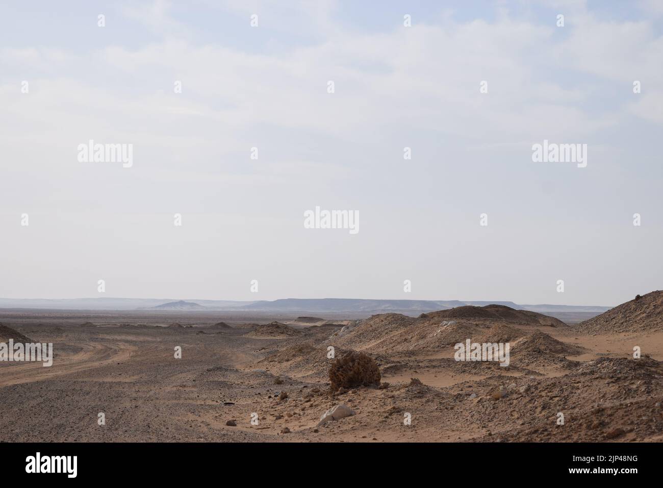 The Wadi Dahek Nature Reserve located in the North-Eastern Badia within ...