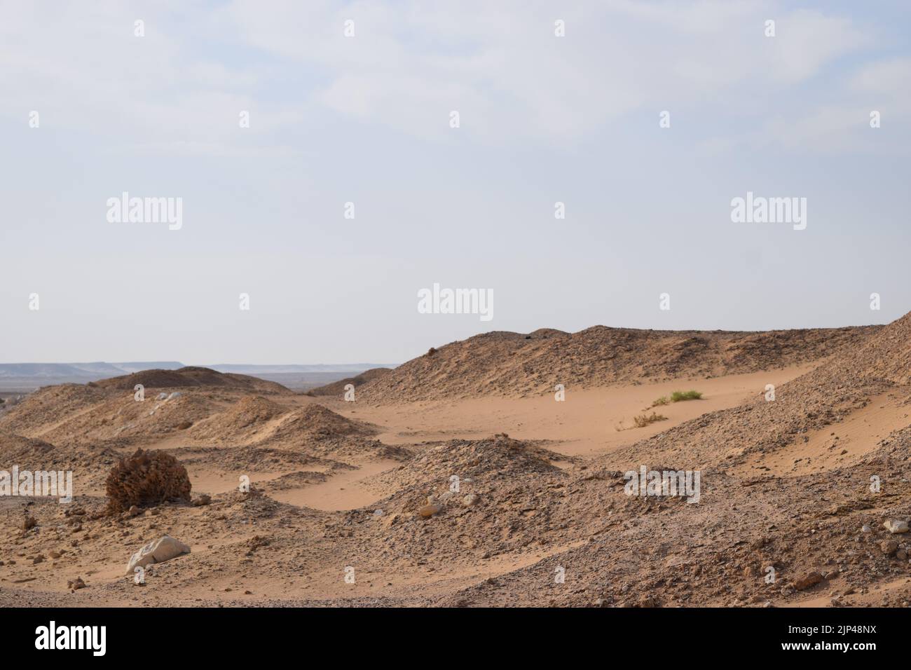 The Wadi Dahek Nature Reserve located in the North-Eastern Badia within ...