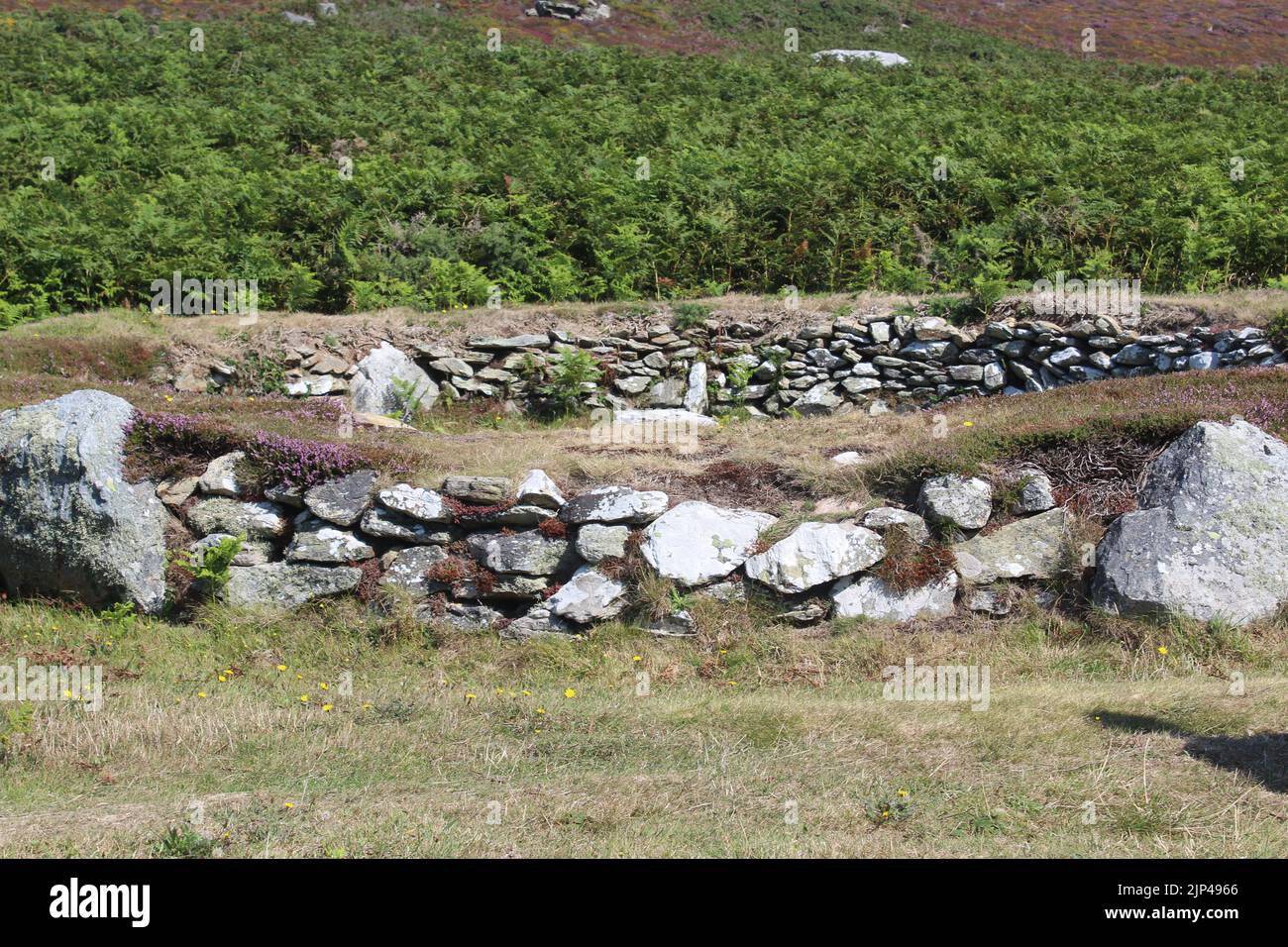 Ty Mawr Stone Hut Circles Stock Photo - Alamy