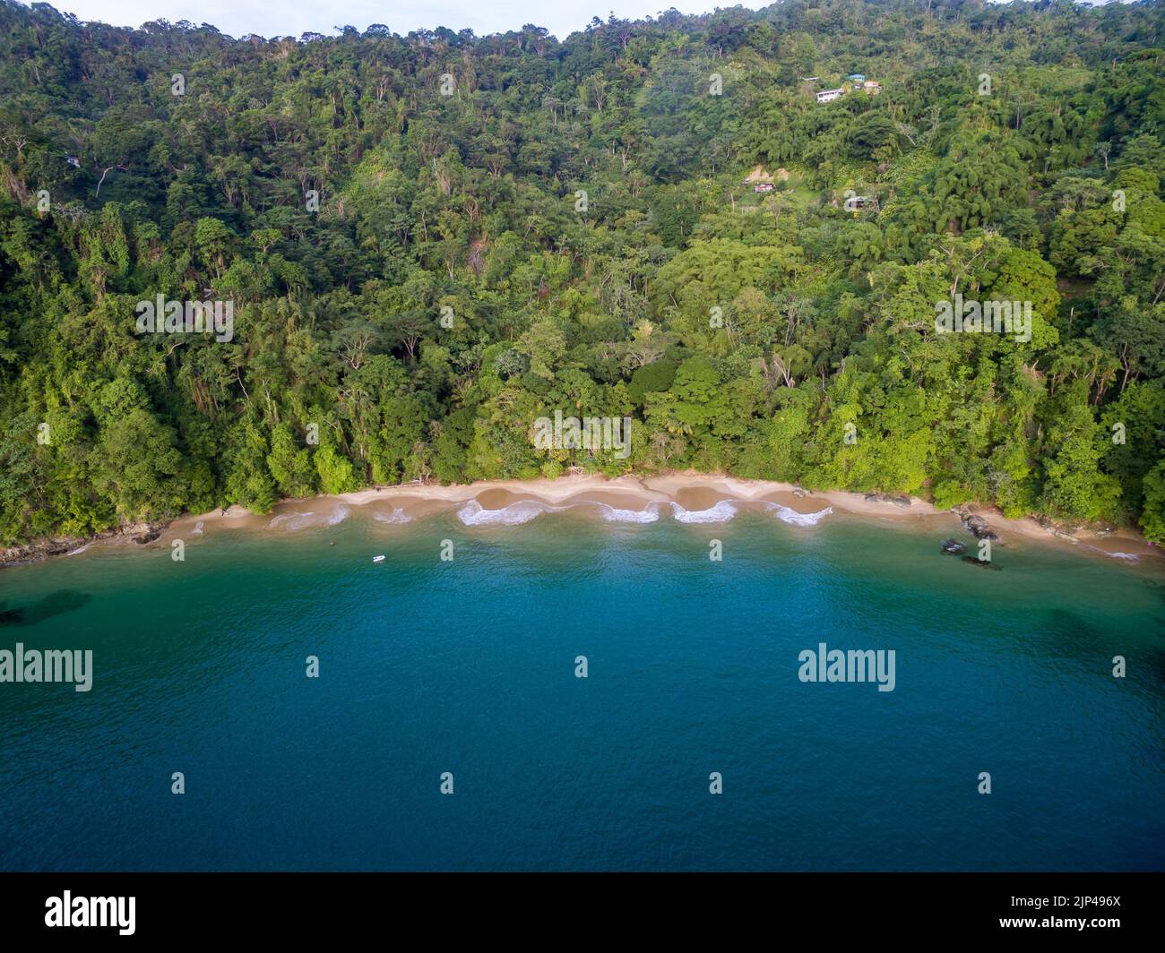 Remote Caribbean bay with beach and forest in the background. This area ...
