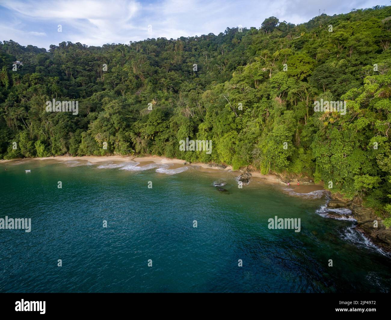 Remote Caribbean bay with beach and forest in the background. This area ...
