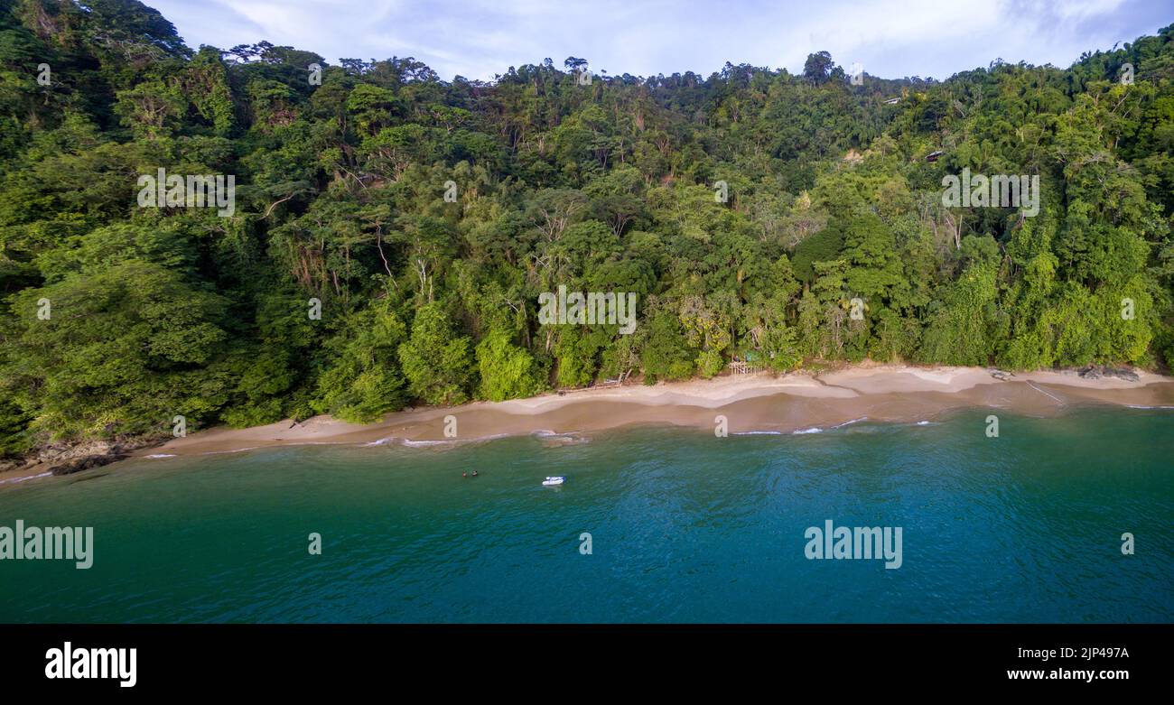 Remote Caribbean bay with beach and forest in the background. This area ...
