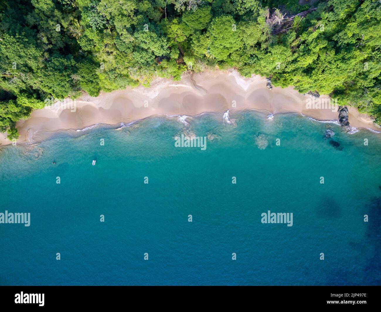 Remote Caribbean bay with beach and forest in the background. This area ...