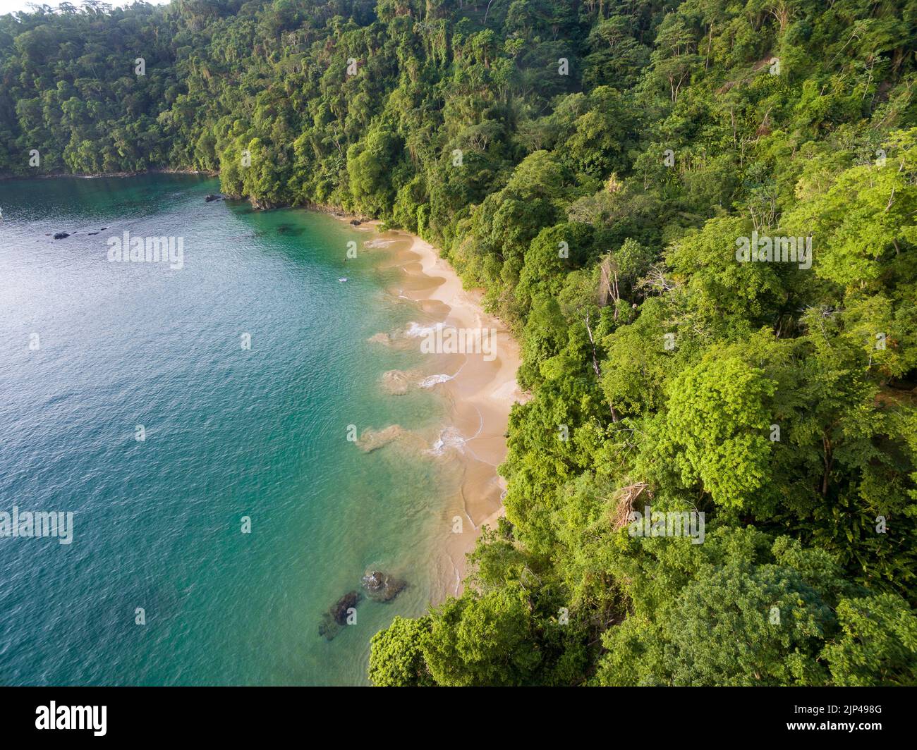 Remote Caribbean bay with beach and forest in the background. This area ...