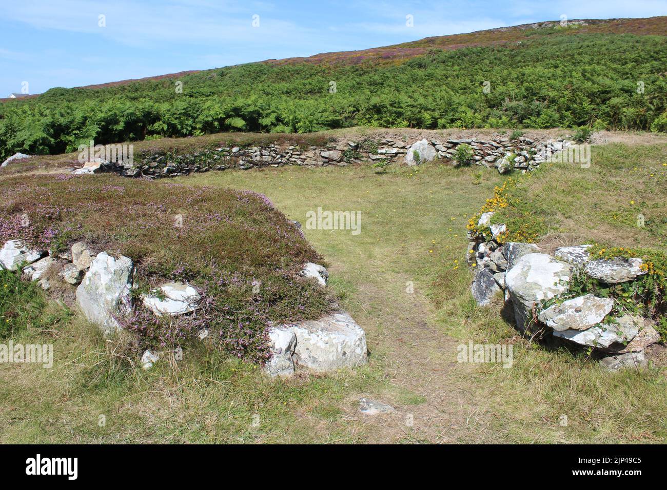 Ty Mawr Stone Hut Circles Stock Photo - Alamy