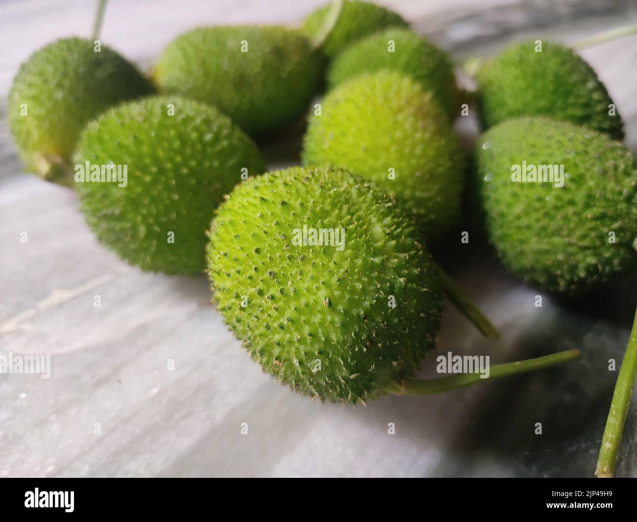 Green spiny gourd fruits on the table Stock Photo - Alamy