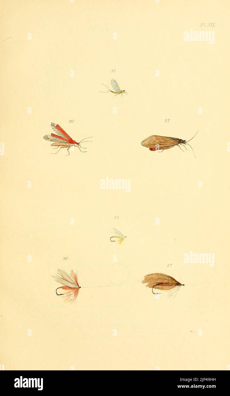 The fly-fisher's entomology (9716642161 Stock Photo - Alamy