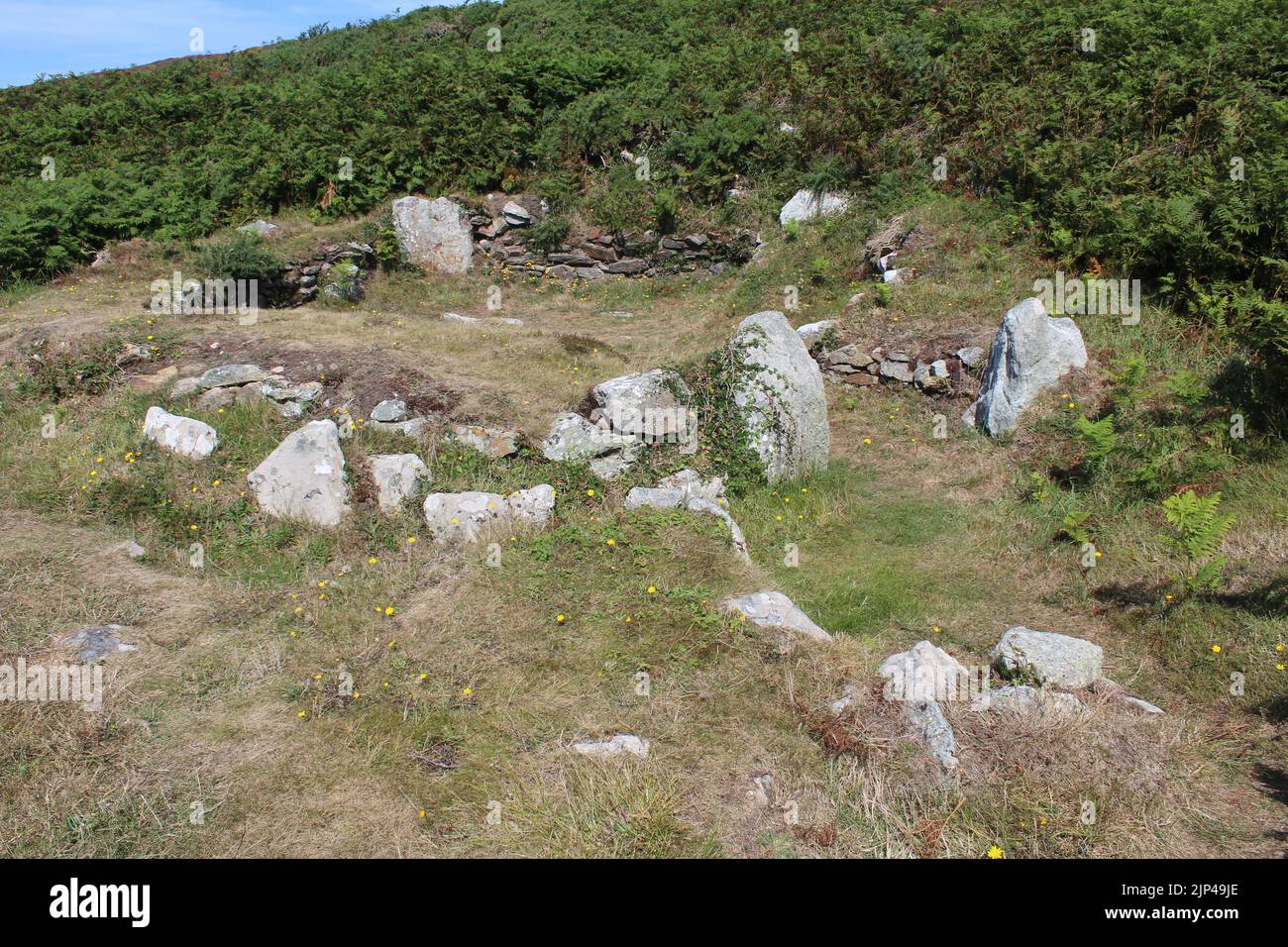 Ty Mawr Stone Hut Circles Stock Photo - Alamy