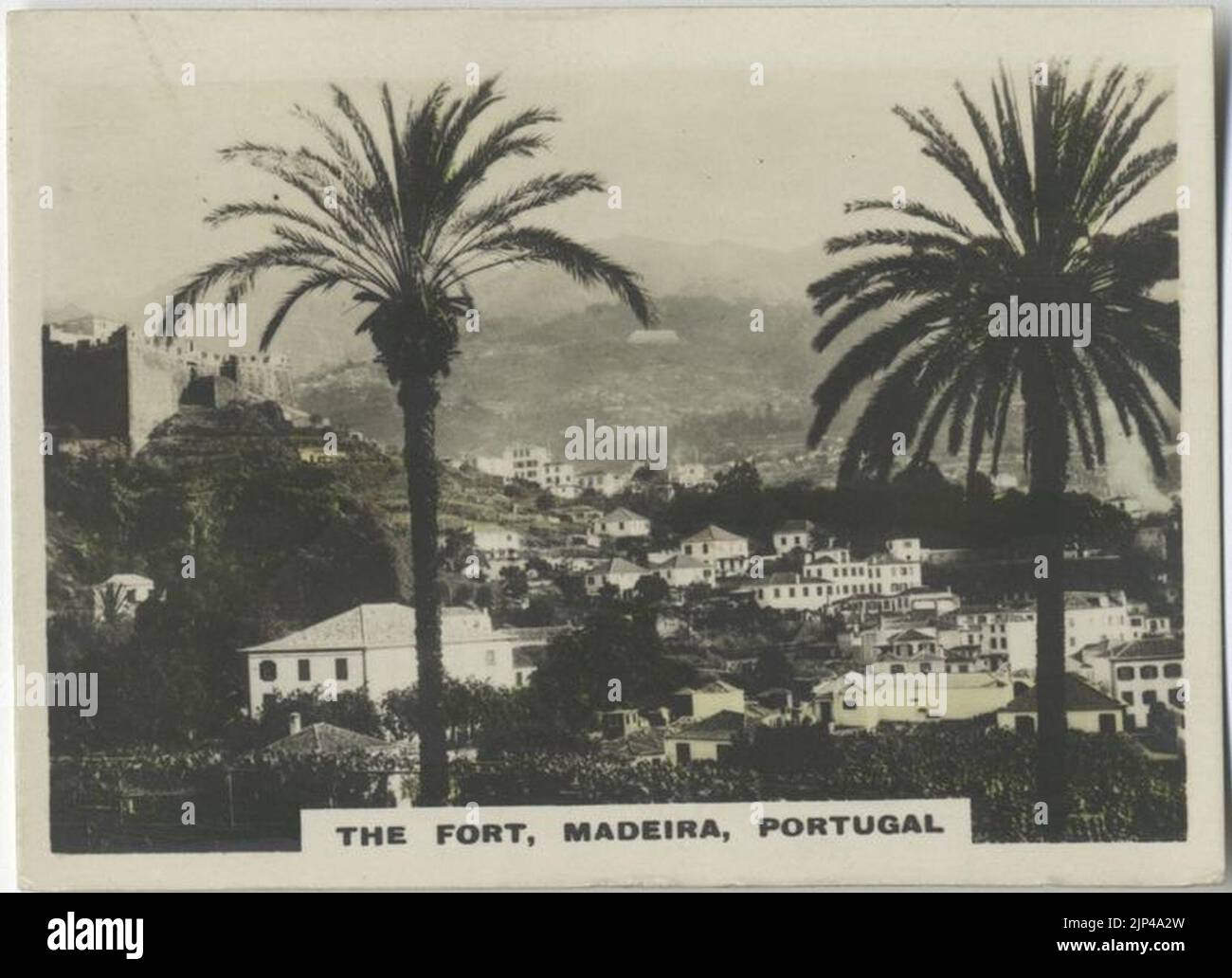 The Fort, Madeira, Portugal (ca. 1919-1929 Stock Photo - Alamy