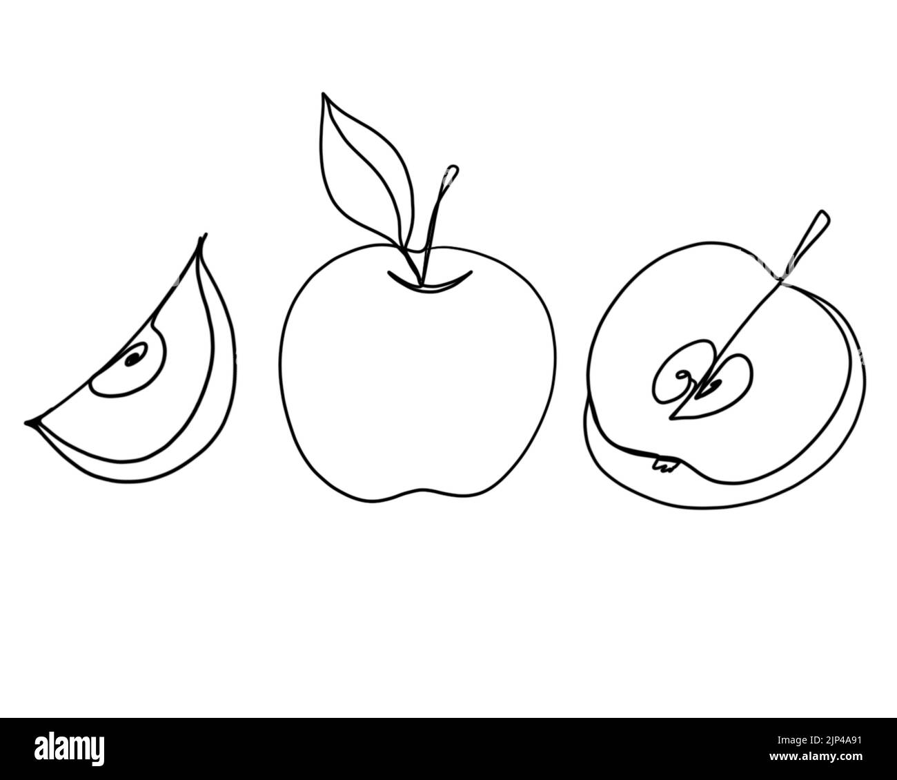 Apple continuous line drawing, Black and white minimalistic linear ...