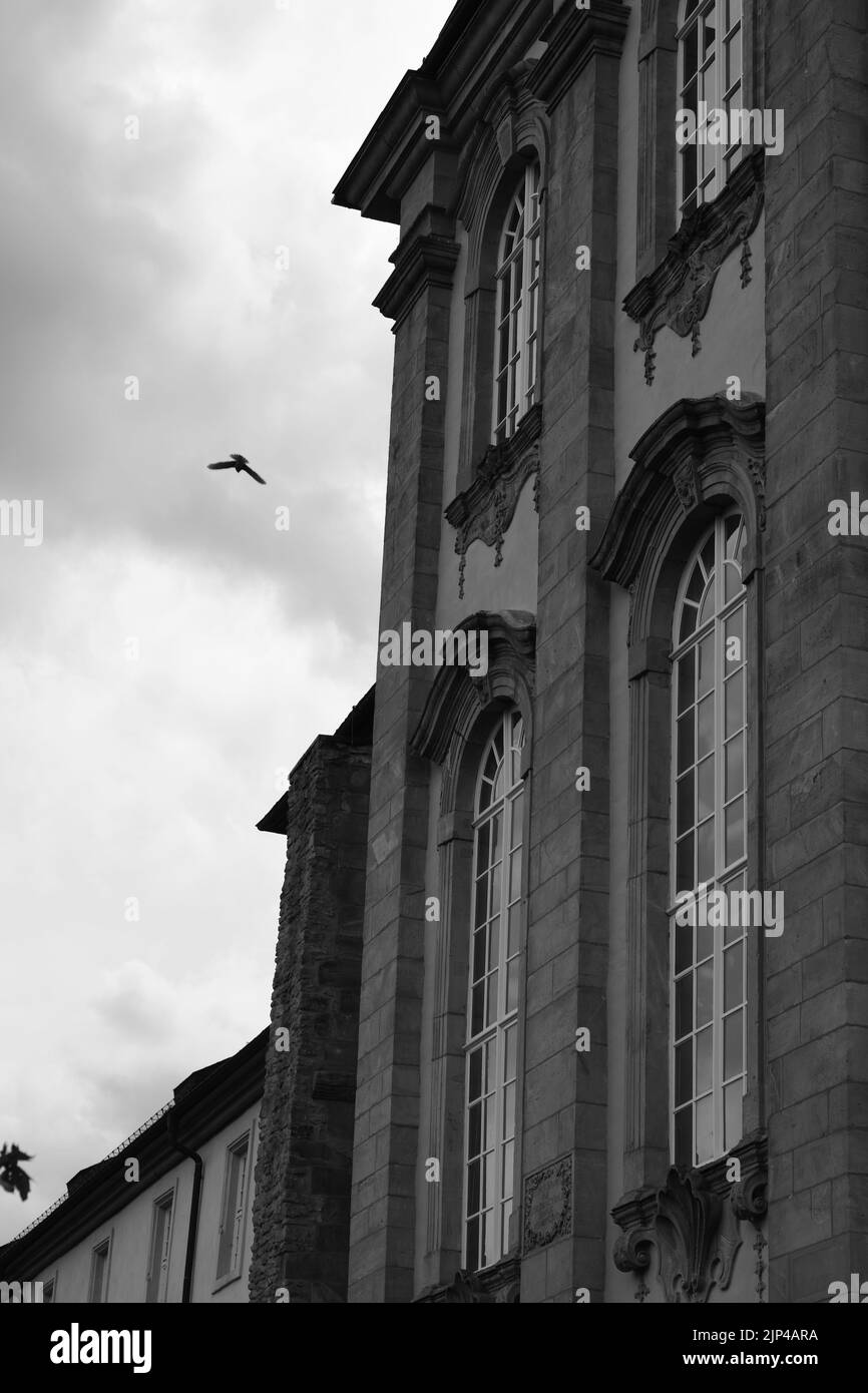 A vertical shot of a bird flying against a historic building in ...