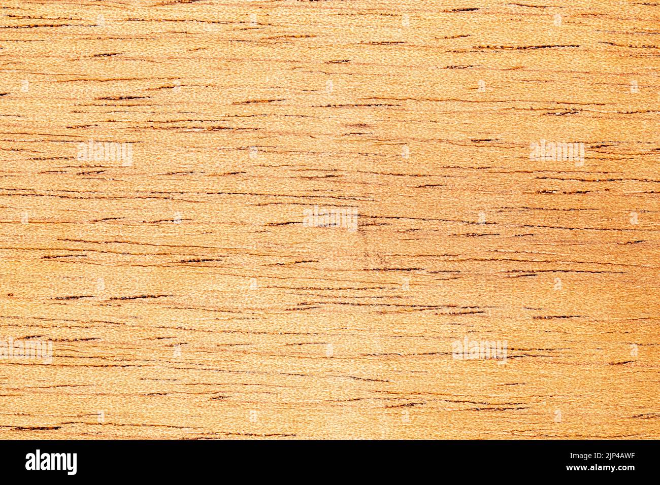 Macro Close up of wooden texture of Cedar wood cigar box surface Stock ...