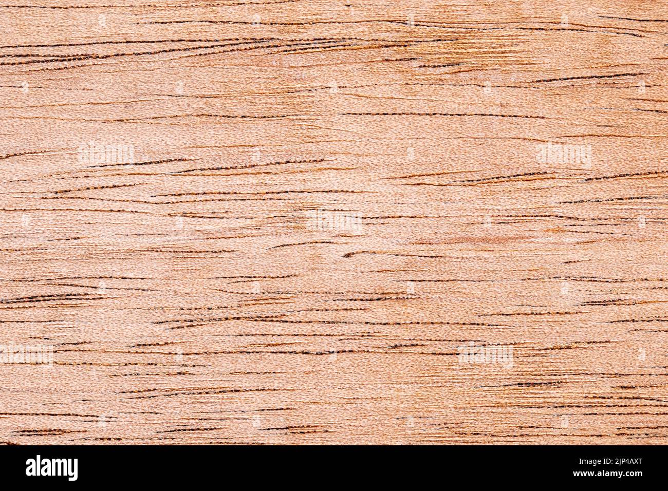 Macro Close up of wooden texture of Cedar wood cigar box surface Stock ...