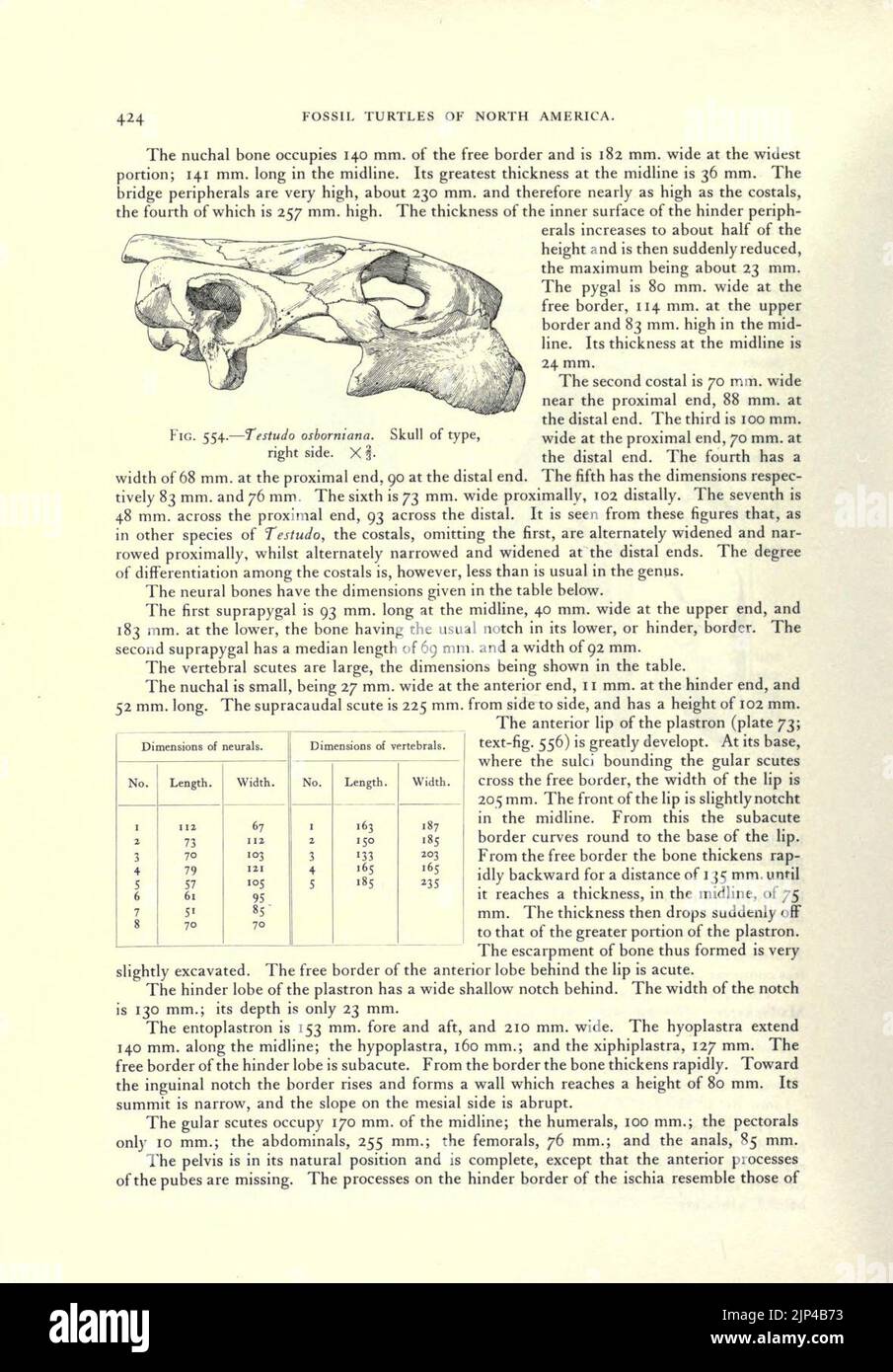The fossil turtles of North America (Page 424 Stock Photo - Alamy