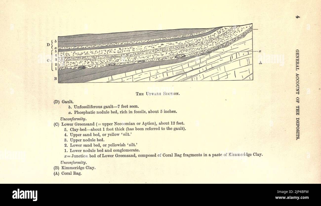 Fossils 4 hi-res stock photography and images - Alamy