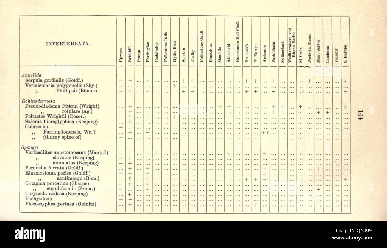 The fossils and palæontological affinities of the Neocomian deposits of ...