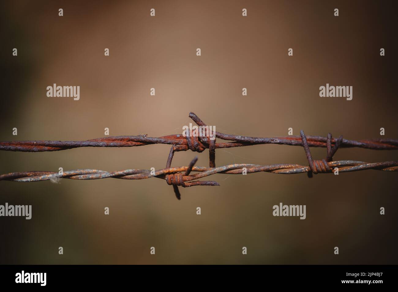 A beautiful shot of a barbed wire on a blurry background Stock Photo ...