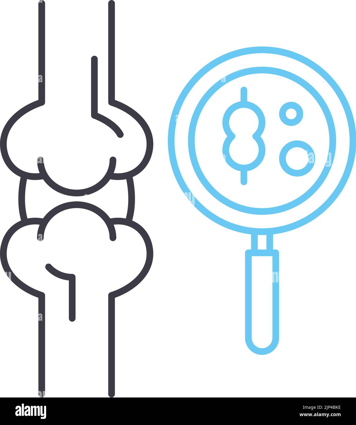 bone densitometry test line icon, outline symbol, vector illustration ...