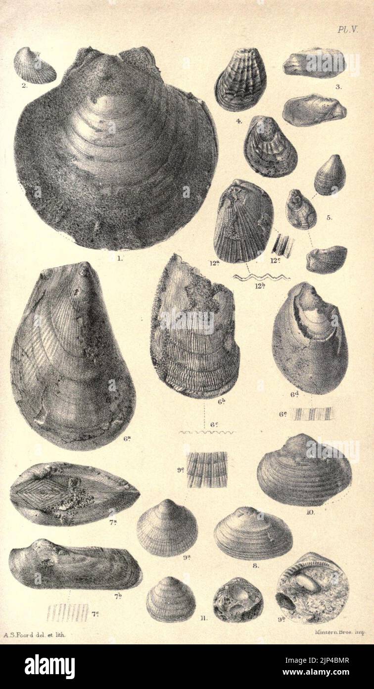 Upware hi-res stock photography and images - Alamy