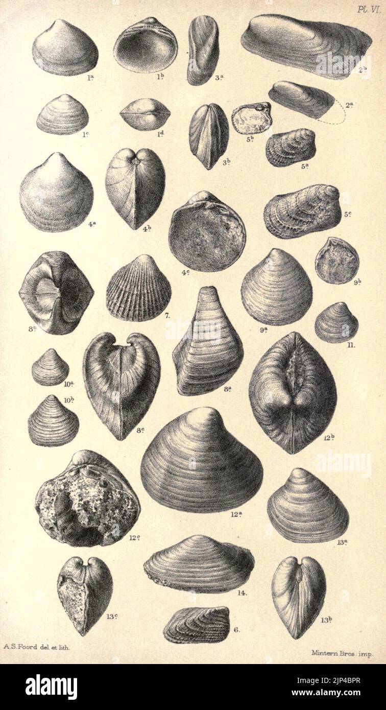 Brickhill hi-res stock photography and images - Alamy