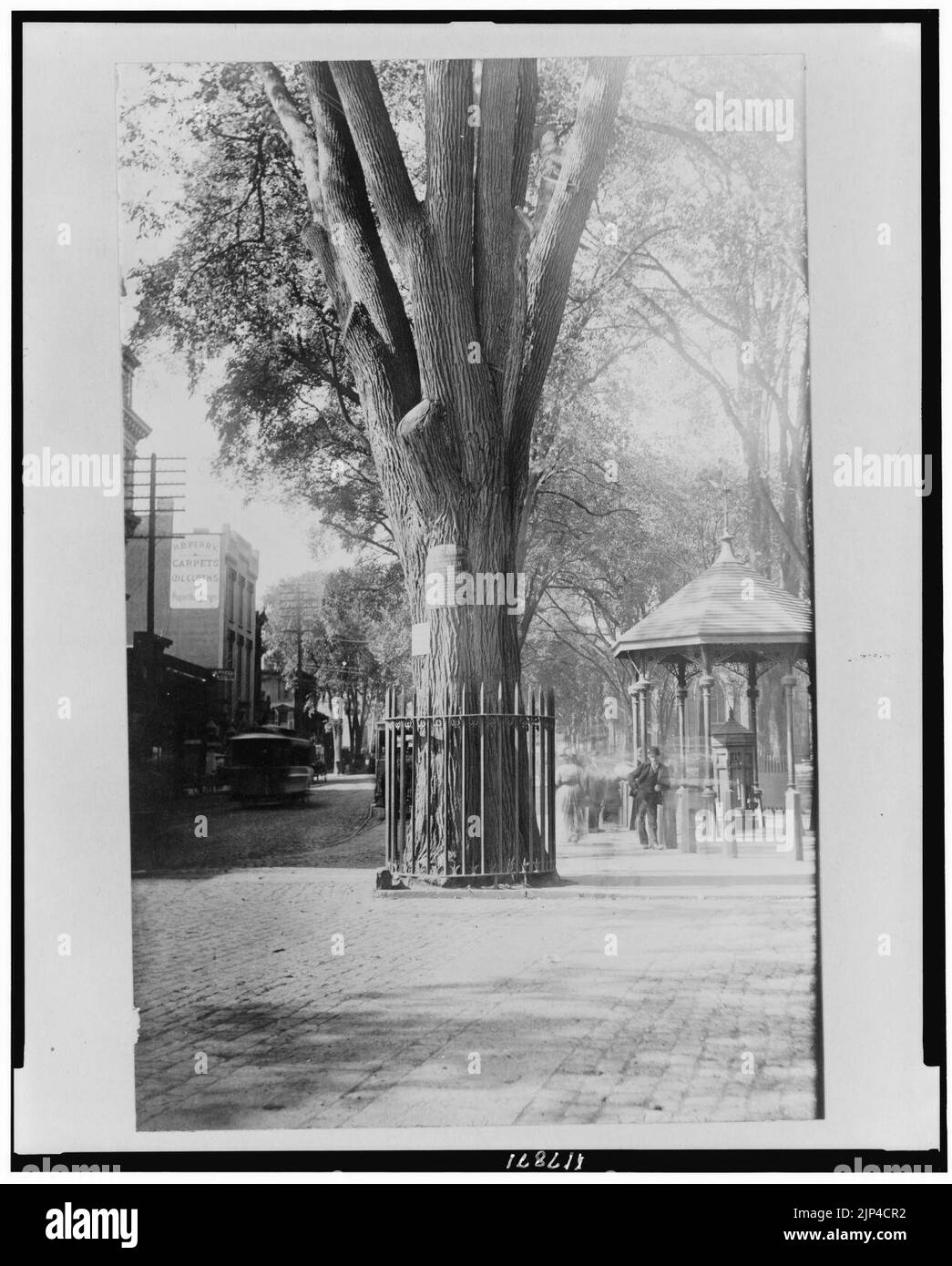 The Franklin elm and town pump about 1880 Stock Photo - Alamy