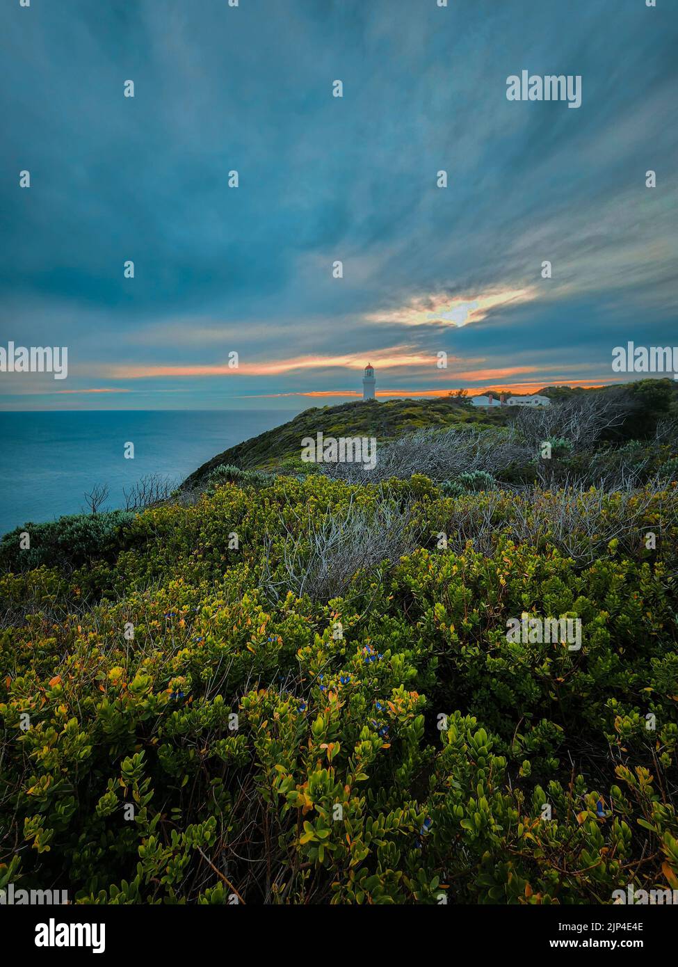 Plants with nice sunset hidden behind clouds Stock Photo - Alamy