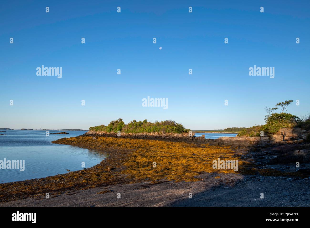 August 14, 2022. 6:36am. Moon above Barnes Island Stock Photo - Alamy