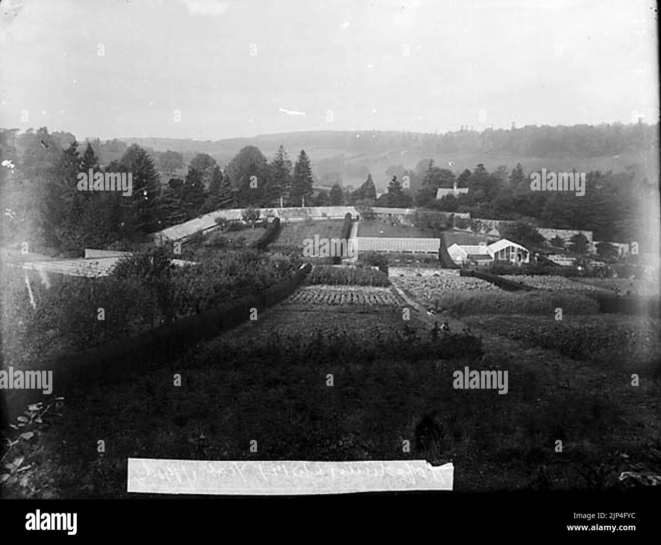 The garden and glasshouses at Hafodunos, Llangernyw Stock Photo - Alamy