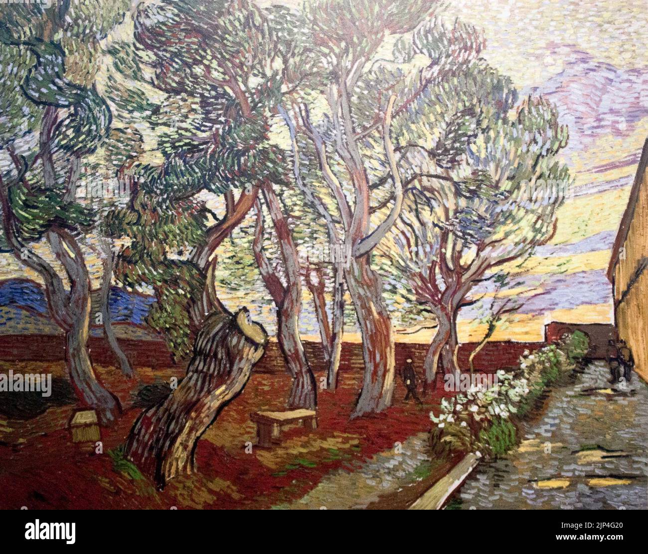 The Garden of Saint-Paul Hospital (JH 1850) - My Dream Stock Photo - Alamy