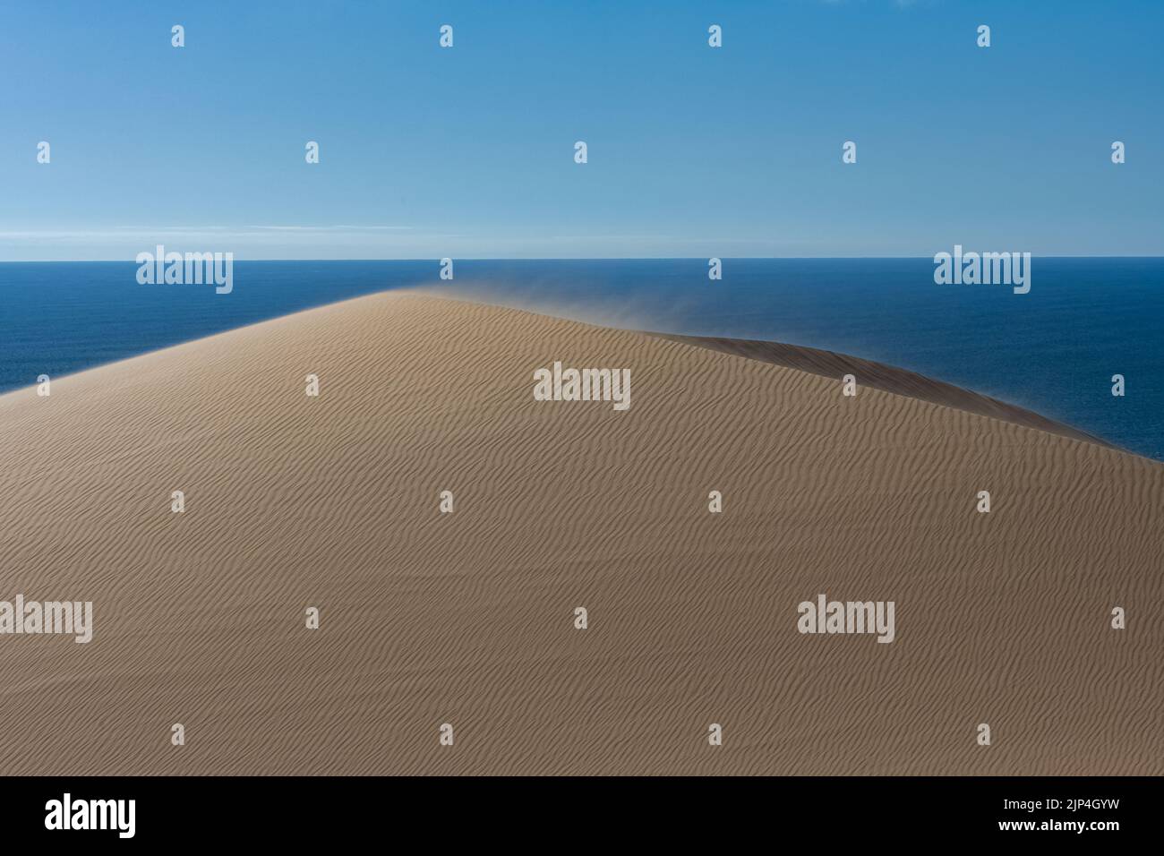 Namibia, the Namib desert, landscape of yellow dunes falling into the ...