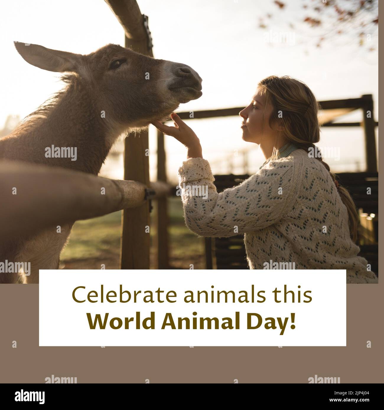 Composition of celebrate animals this world animal day text over donkey ...