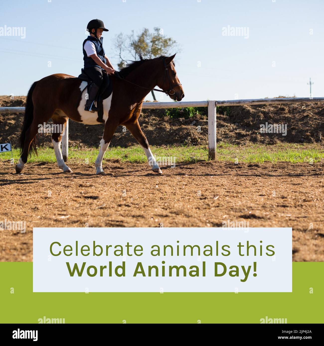 Composition of celebrate animals this world animal day text over ...