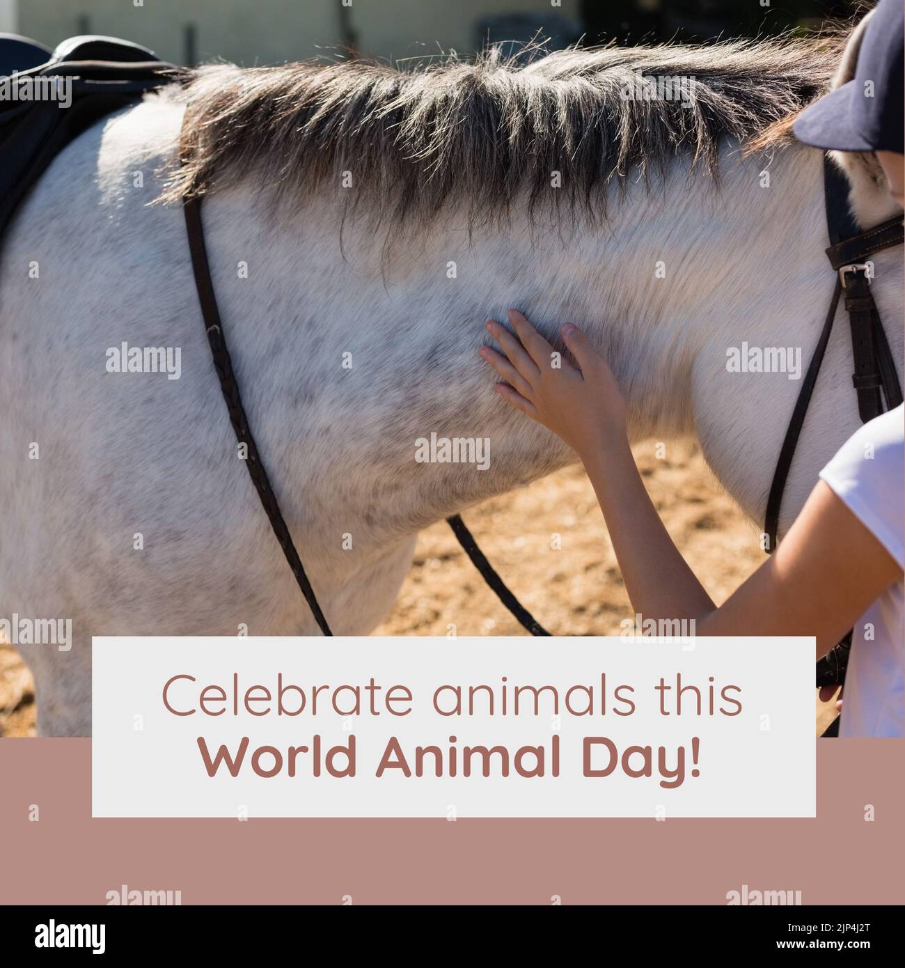 Composition of celebrate animals this world animal day text over horse ...