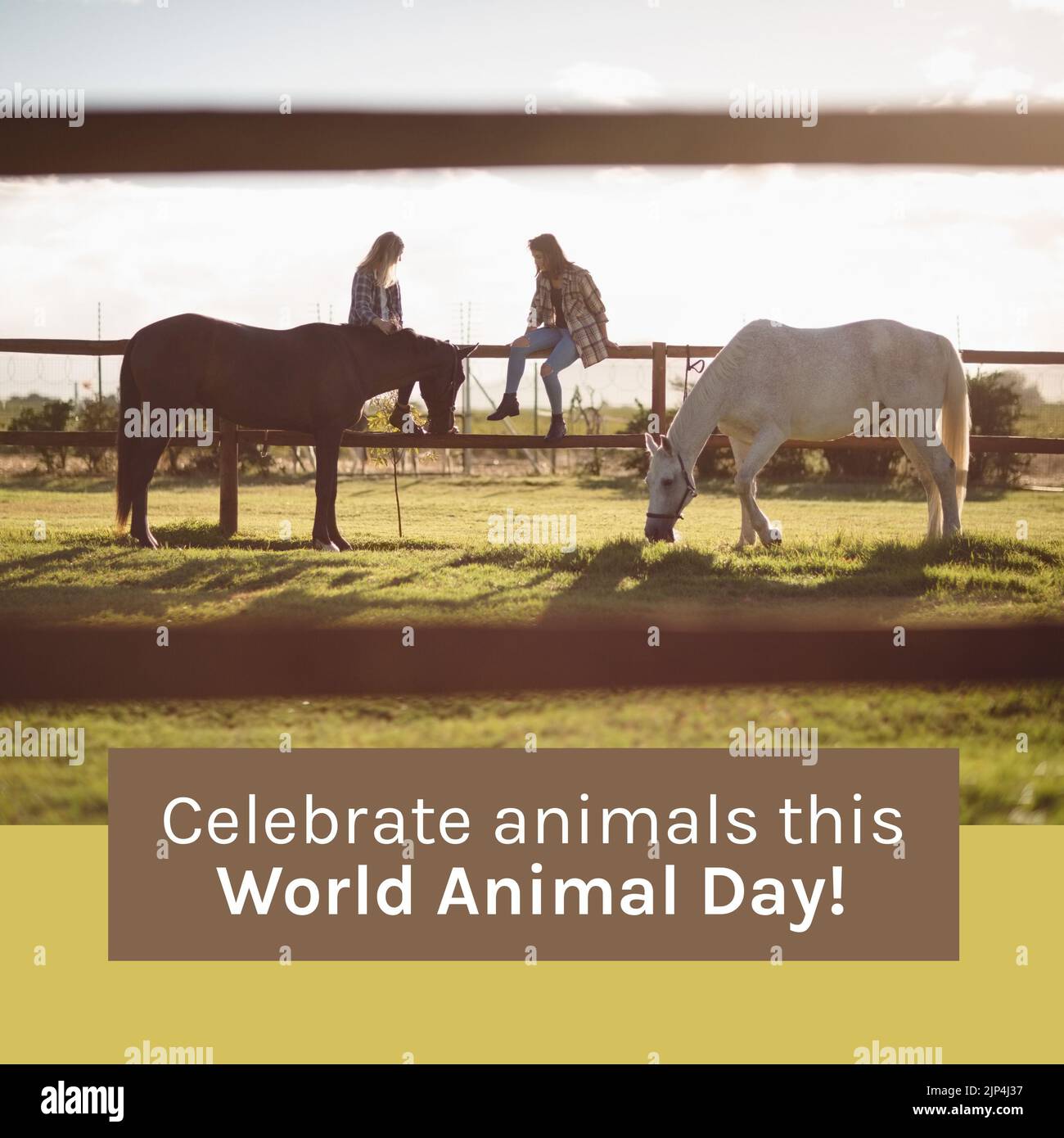 Composition of celebrate animals this world animal day text over horses ...