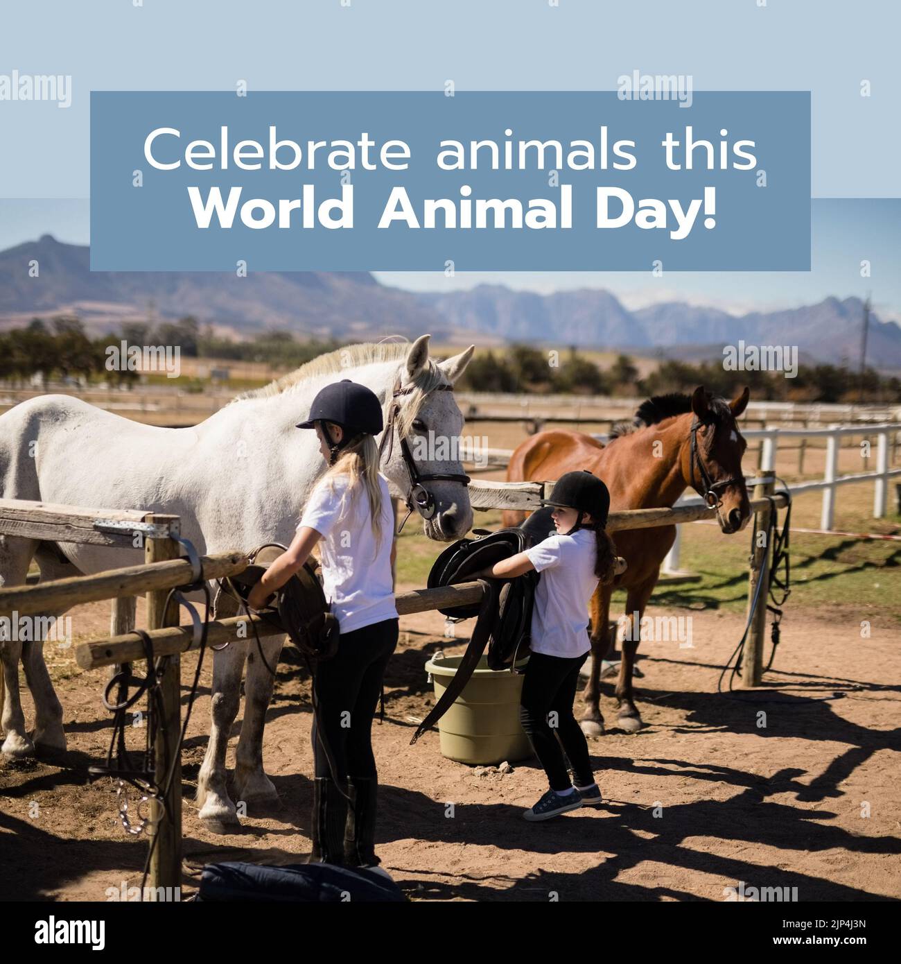 Composition of celebrate animals this world animal day text over horses ...