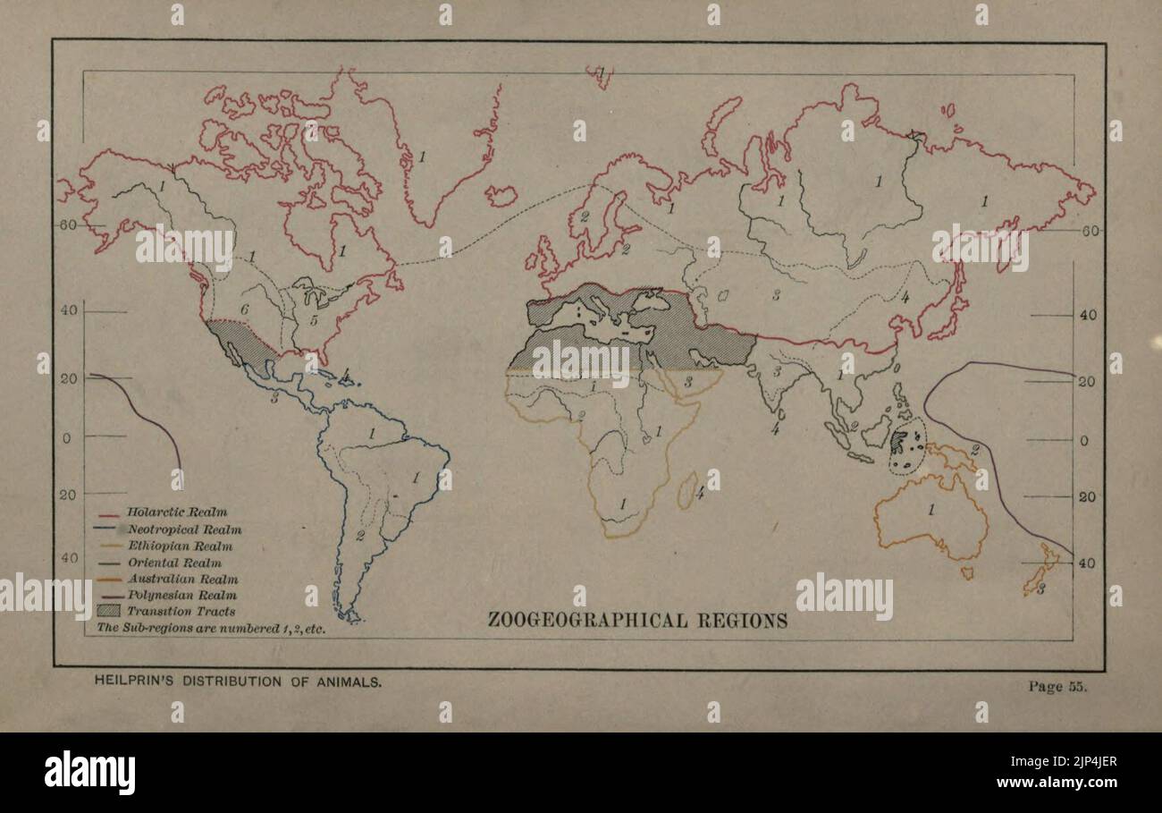 The geographical and geological distribution of animals Stock Photo - Alamy